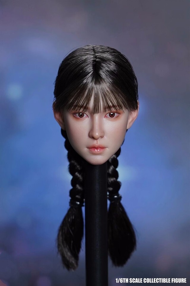1/6 Asian Female Head Sculpt Double Braid Hair For Phicen 12" SUNTAN ...