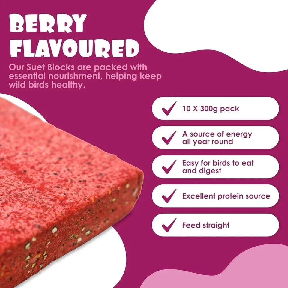 Berry Flavoured Suet Blocks for Wild Birds, 300g (Pack of 10) Enriched ...