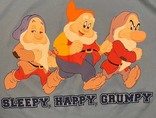 Disney Parks RARE RunDisney The First Three Miles Shirt Sz M Sleepy ...