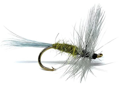 Dry - Blue Winged Olive