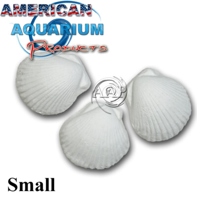 sm Wonder Shell- Aquarium Fish, Snails, Shrimp, Plants Mineral Packs ...