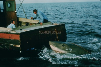 JAWS ROBERT SHAW RICHARD DREYFUSS ATTACK ON THE ORCA PHOTO | eBay