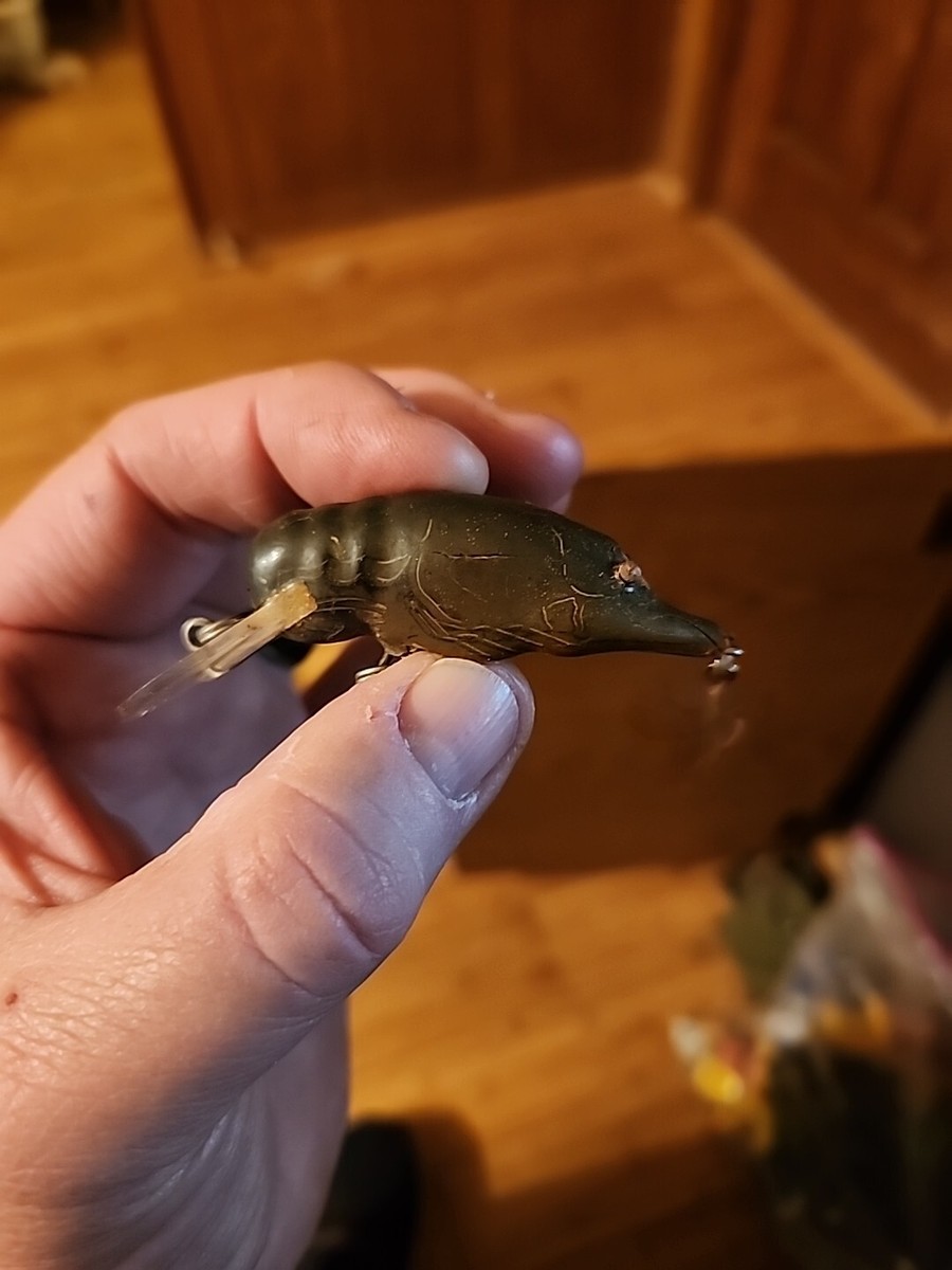 Crustacean Small Fry