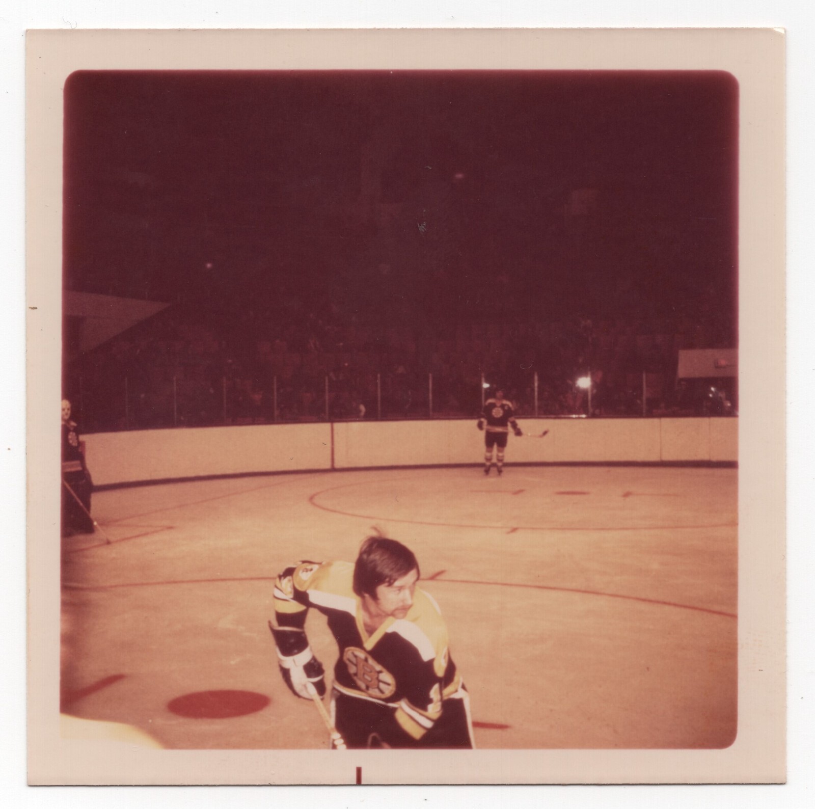 1973 Greg Sheppard Boston Bruins Vintage Hockey POLAROID PHOTO NHL | eBay
