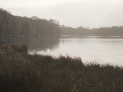 Photo 6x4 Tatton Mere (Tatton Park) Knutsford Looking south, Crosstown ...