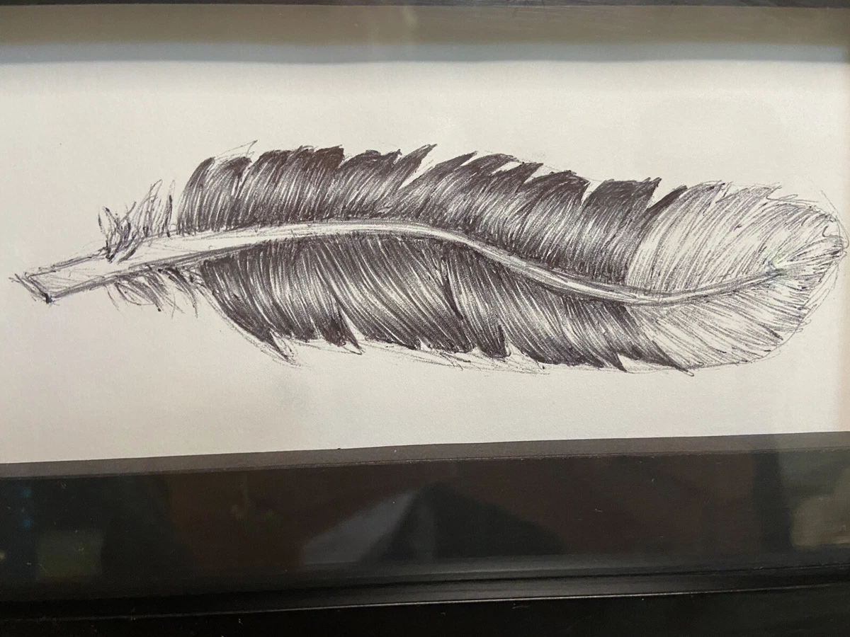 Eagle Feather Drawing
