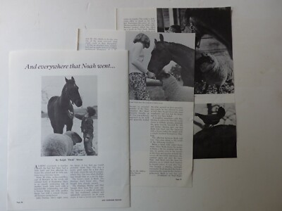 Neat Farm Animals Hopkinton NH Sept 1968 New Hampshire Profiles ...
