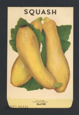 SQUASH, Stock Vintage Seed Packet, Country Store, 376 | eBay