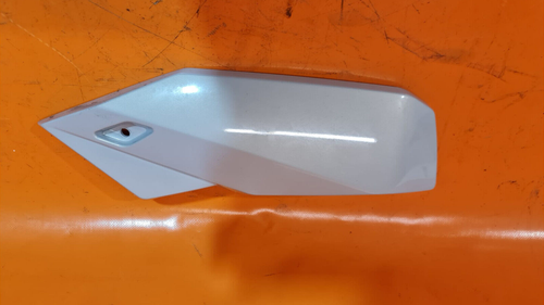 FIANCHETTO SINISTRO MOTORE BMW S 1000 R 2021 2023 LEFT ENGINE SIDE PANEL | eBay