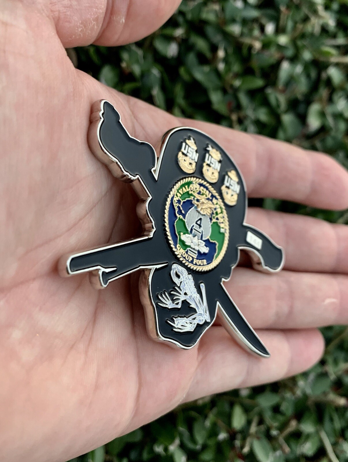 Navy Seals Seal Team Group 4 NSW Bone Frog Skull Challenge Coin CPO ...