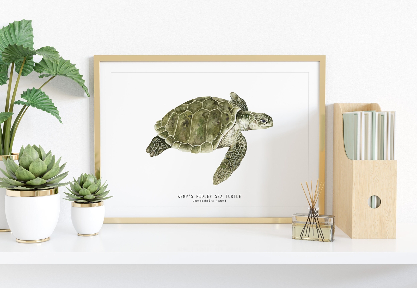 Kemp'S Ridley Sea Turtle Print | Lepidochelys Kempii Watercolor Art ...