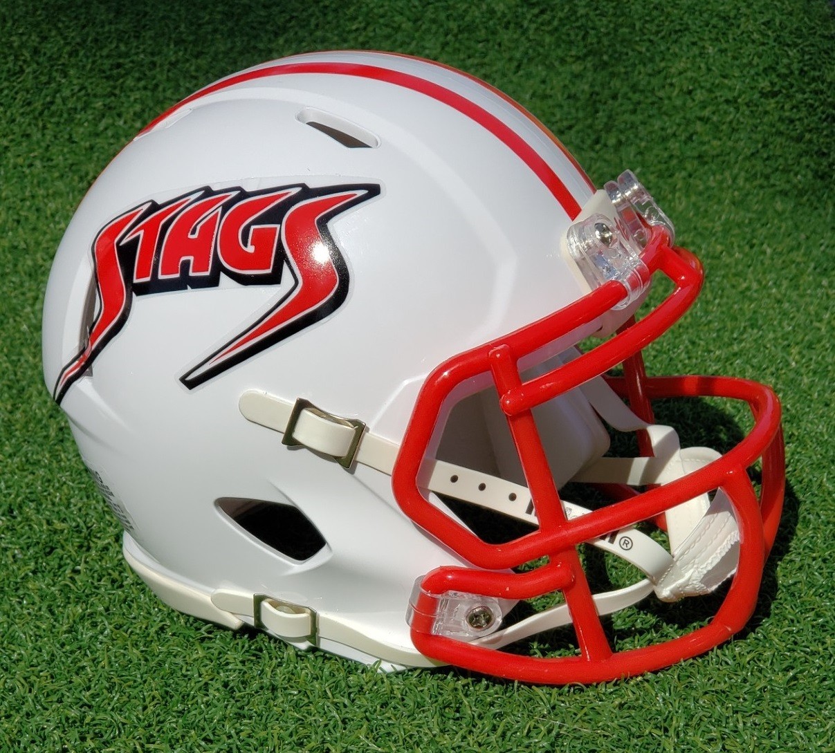 FAIRFIELD UNIVERSITY STAGS THROWBACK FOOTBALL MINI HELMET | eBay UK