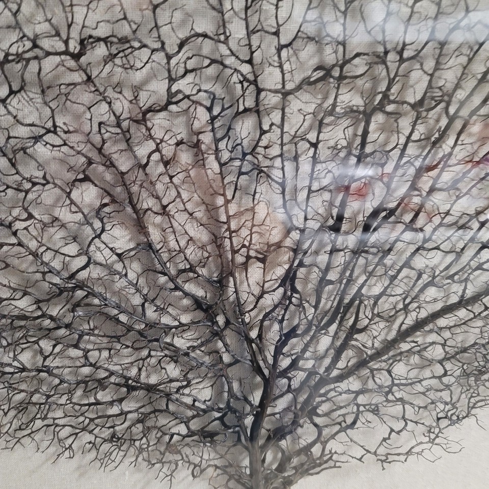 Black tree shadow box wall decor | eBay