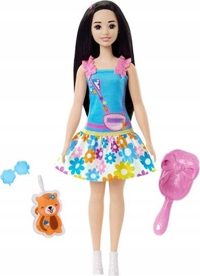 Barbie. Meine erste Barbie-Puppe Renee HLL22 | eBay.de