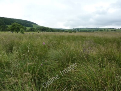 Photo 6x4 Marshy meadow Fawfieldhead Millmoorhead Wood near Longnor ...