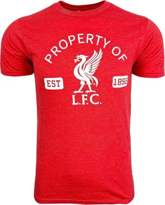 Licensed LFC T-Shirt - Icon Sports Brand - Premier League | eBay