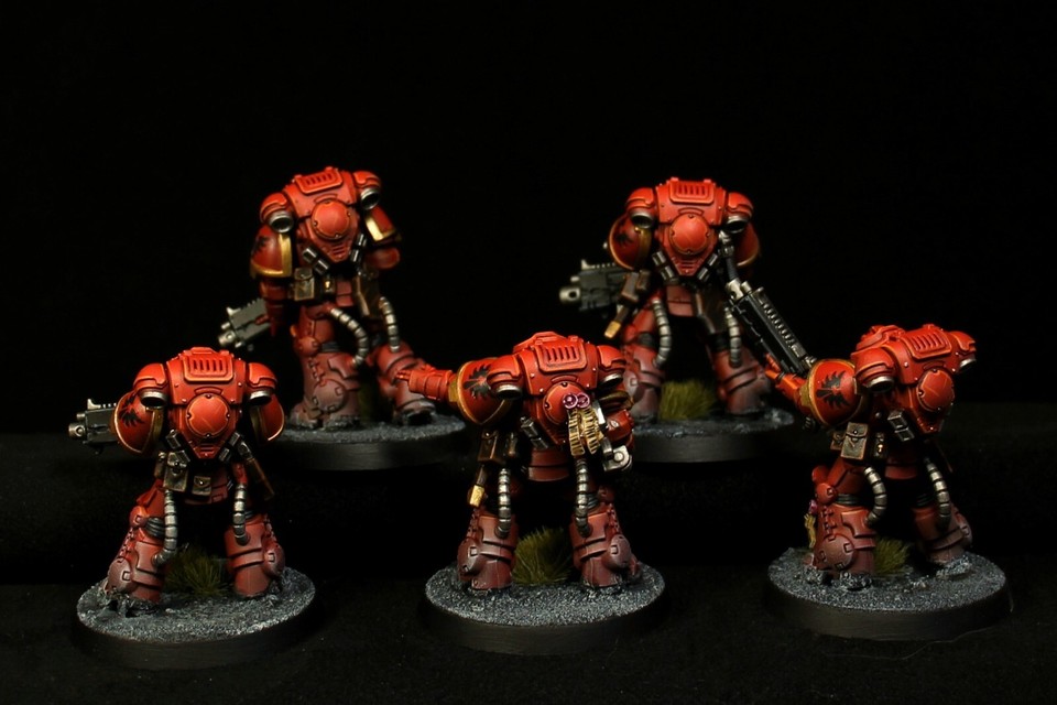 Blood Angels Heavy Intercessors painted Warhammer 40k Primaris Space ...