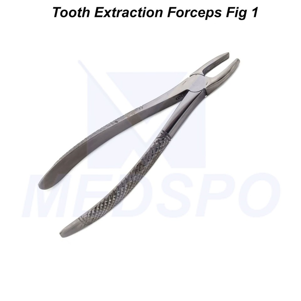 Dental Upper Root Incisor Children Tooth Extraction Forceps Fig01 ...