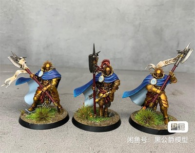Warhammer AOS Praetors Order Stormcast Eternals Presale Painted Gallery ...