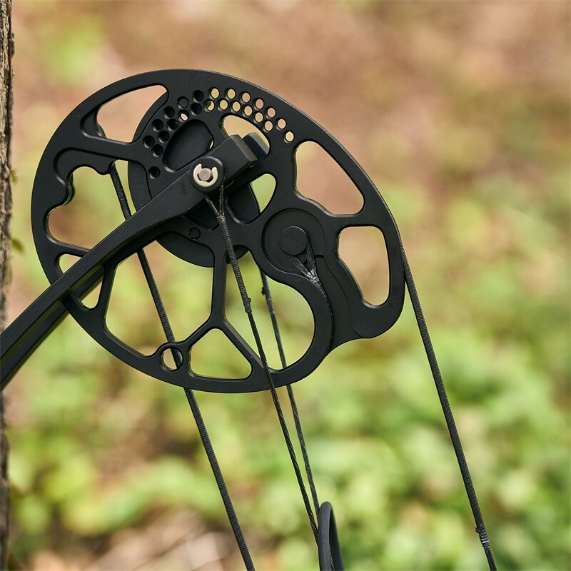 RH Compound Bow 19-70 lbs Adjustable Hunting & Target Shooting Set for ...
