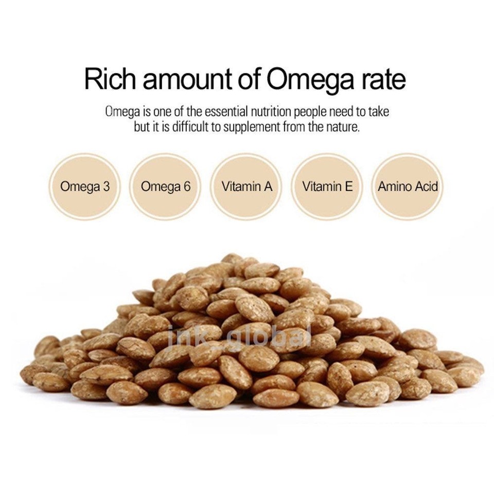 400g Natural 100% Roasted Star Seed Sacha Inchi Nut Super Food + Track ...