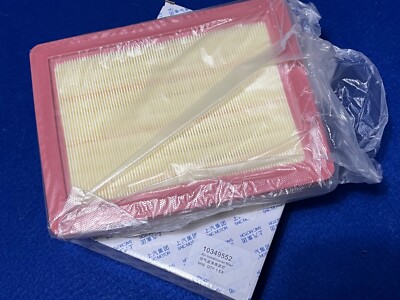 GENUINE MG MG HS AIR FILTER 2019 ONWARDS PHEV HYBRID | eBay UK