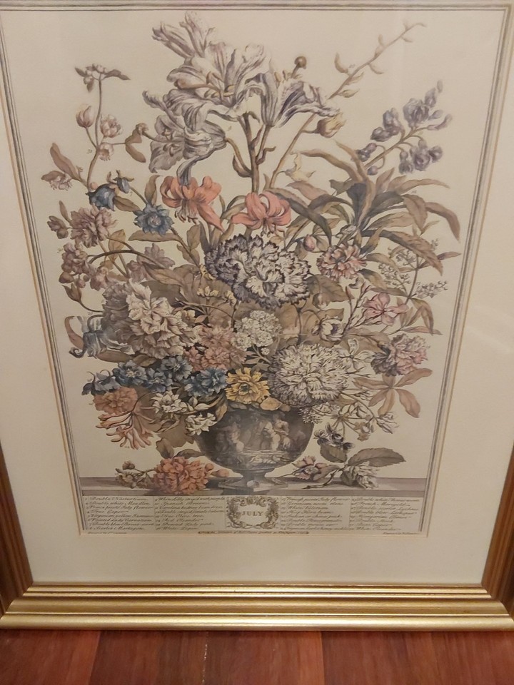 Vintage Robert Furber July Framed Botanical Print H Fletcher Engraver ...