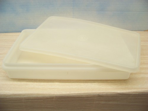 Tupperware Rectangle Storage Keeper - 794-8 - Bacon, Deli Meats | eBay