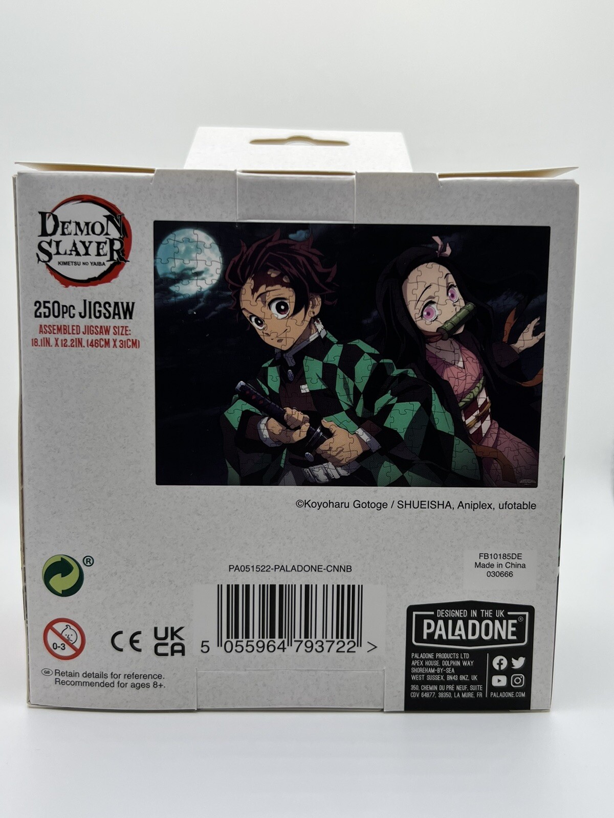 Demon Slayer Kimetsu No Yaiba Paladone 250 Piece Jigsaw Puzzle | eBay