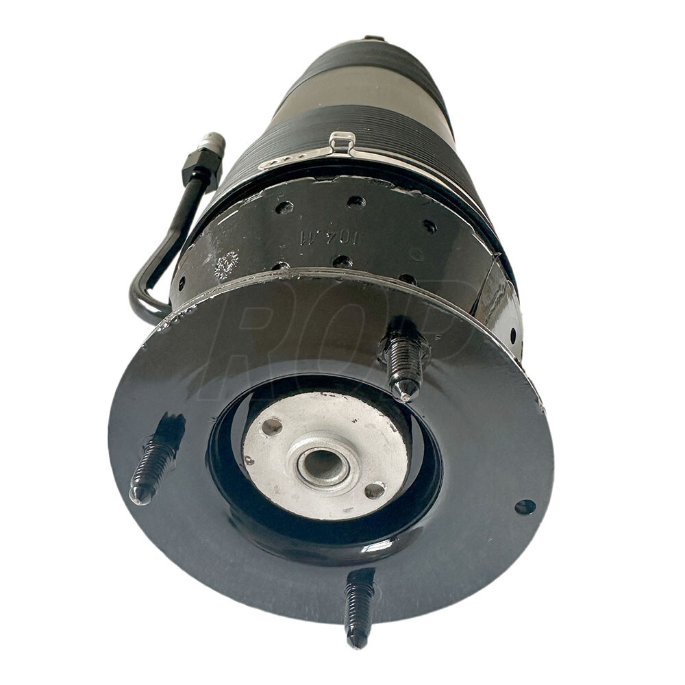 For Mercedes W220 S-Class CL500 S55 Rear Left Air Suspension Strut ...