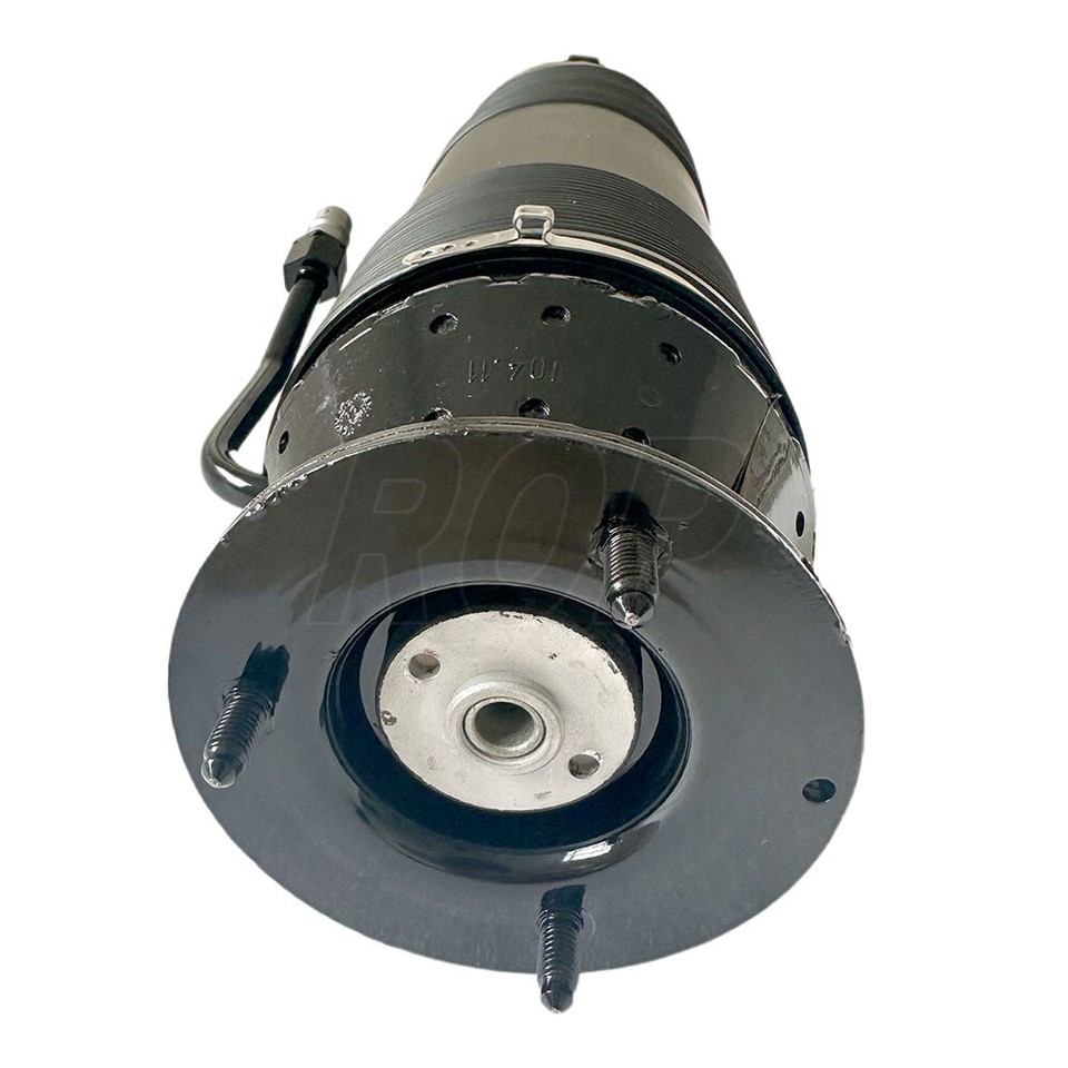For Mercedes W220 S-Class CL500 S55 Rear Left Air Suspension Strut ...