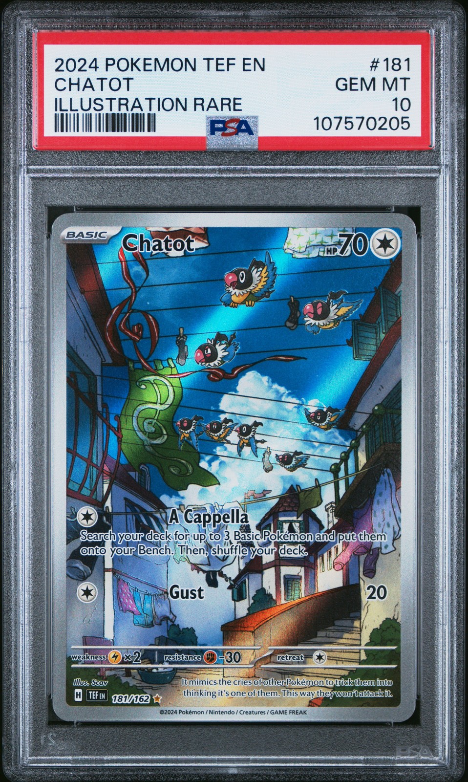 Chatot 2024 Scarlet & Violet: Temporal Forces #181/162 Illustration ...