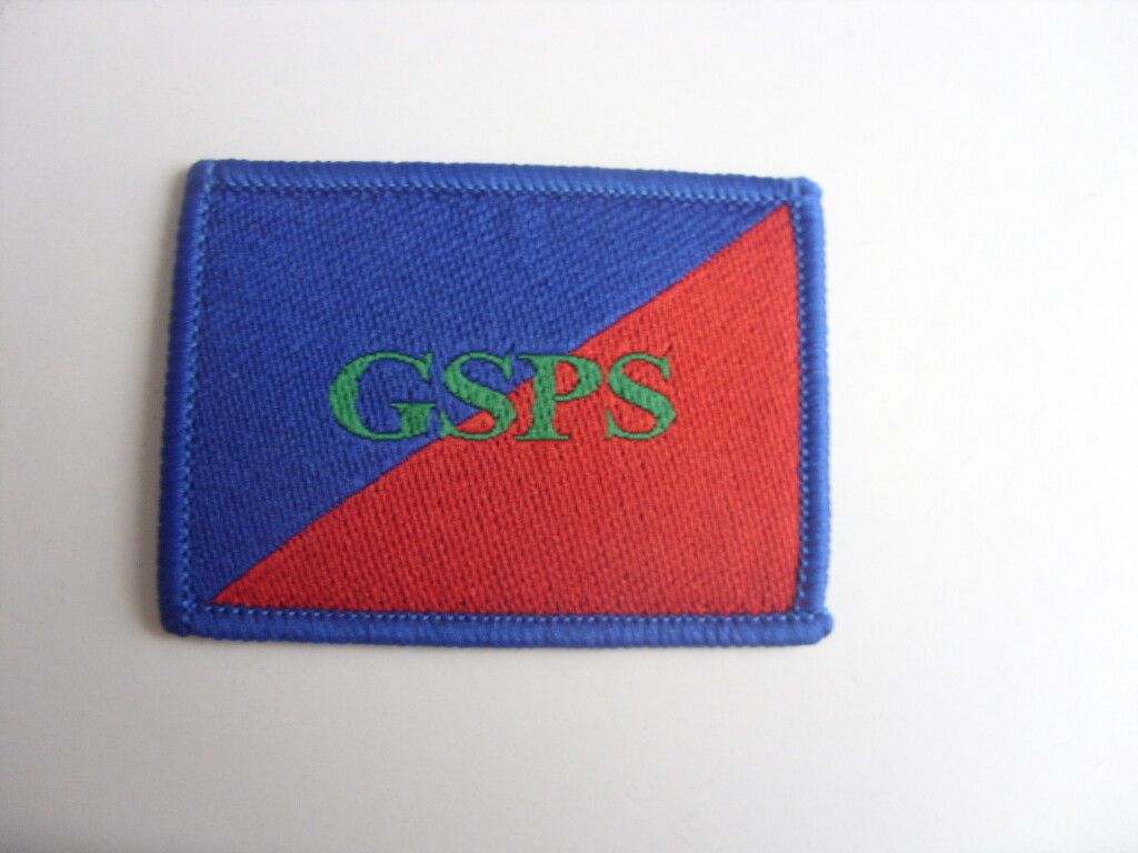 AGC SPS APS MPS MPGS GSPS ETS TRF ARM BADGE UK DZ MTP GURKHA | eBay UK