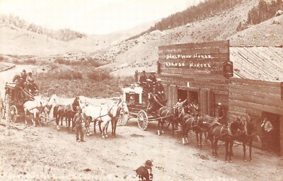 Stage Line to Cripple Creek via Colorado Midland Railway Repro Postcard ...
