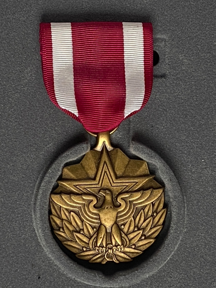 Military Meritorious Service Medal MSM Set Lapel Pin Ribbon Case NEW | eBay