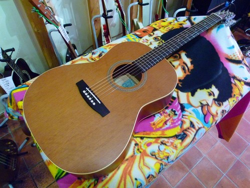 Seagull S6 Folk | eBay