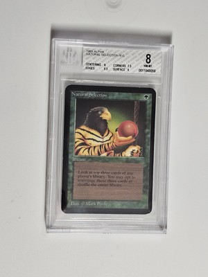 NATURAL SELECTION ALPHA MTG Beckett BGS 8.0 NM-MT Magic The Gathering ...