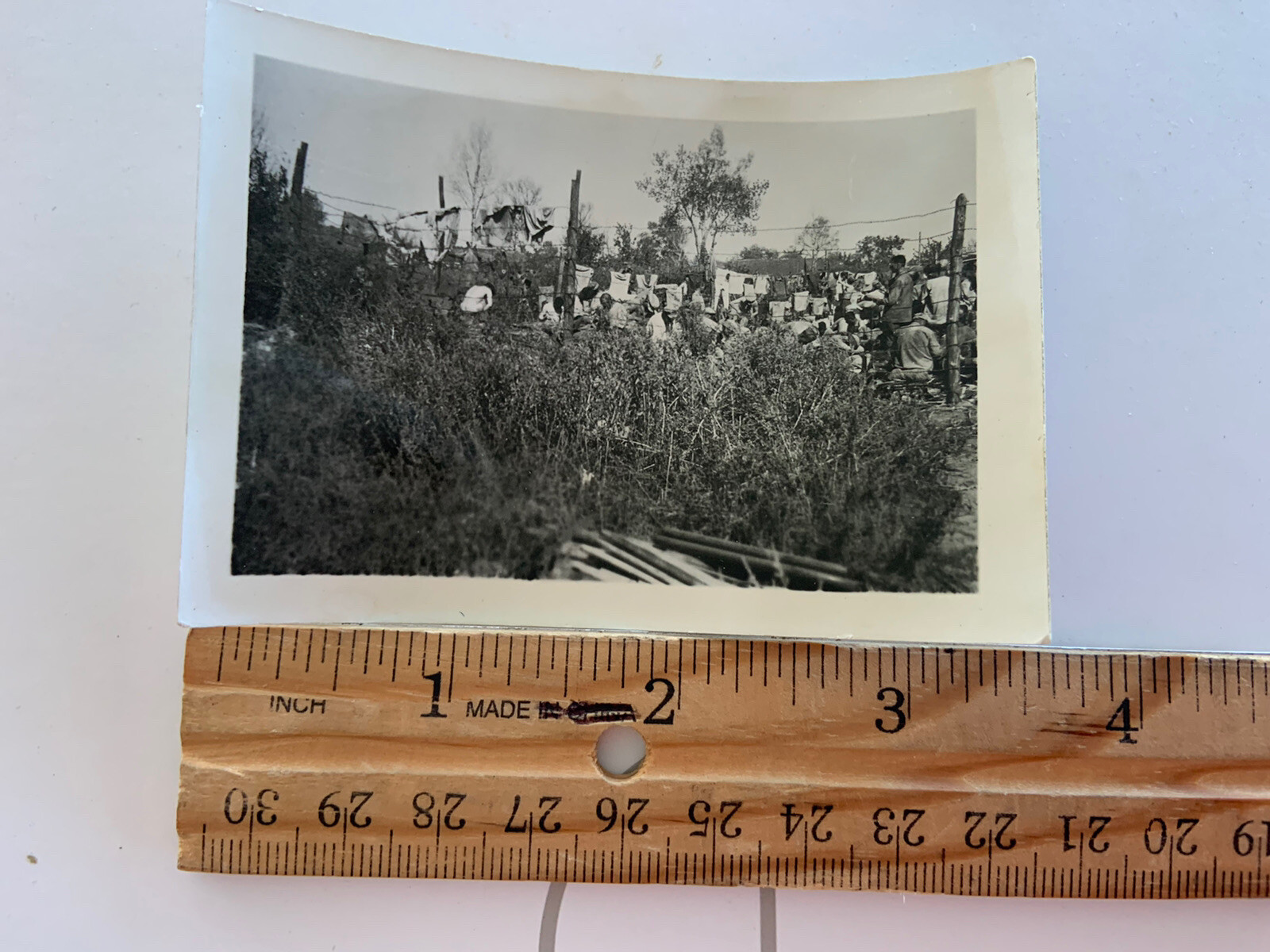 Rare German Nudes laundry Cloth WW2 Photo Original risqué | eBay