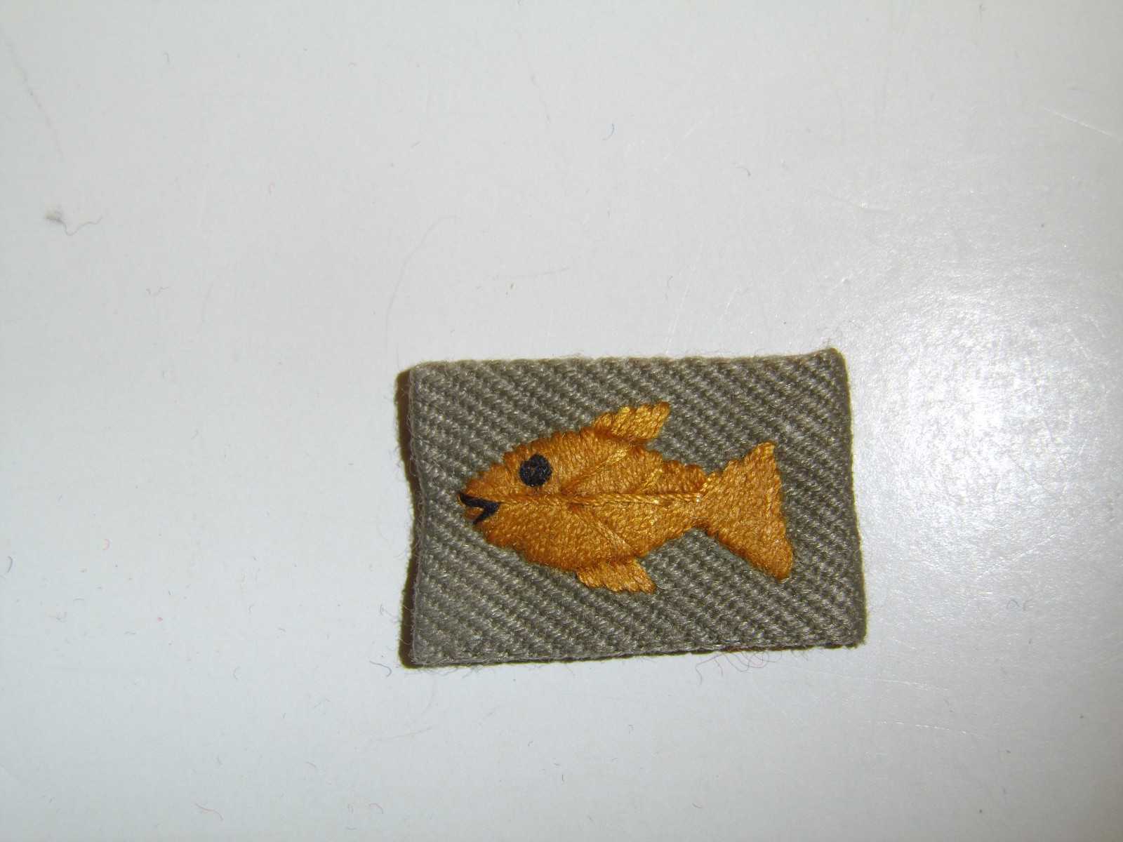 b1476 WW2 US Army Navy Air Force RAF Goldfish club shotdown over water ...