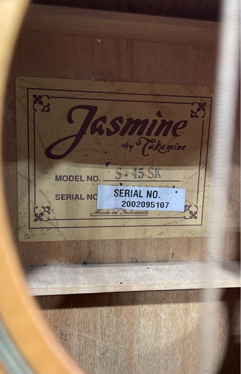 Acoustic Jasmine Guitar | eBay