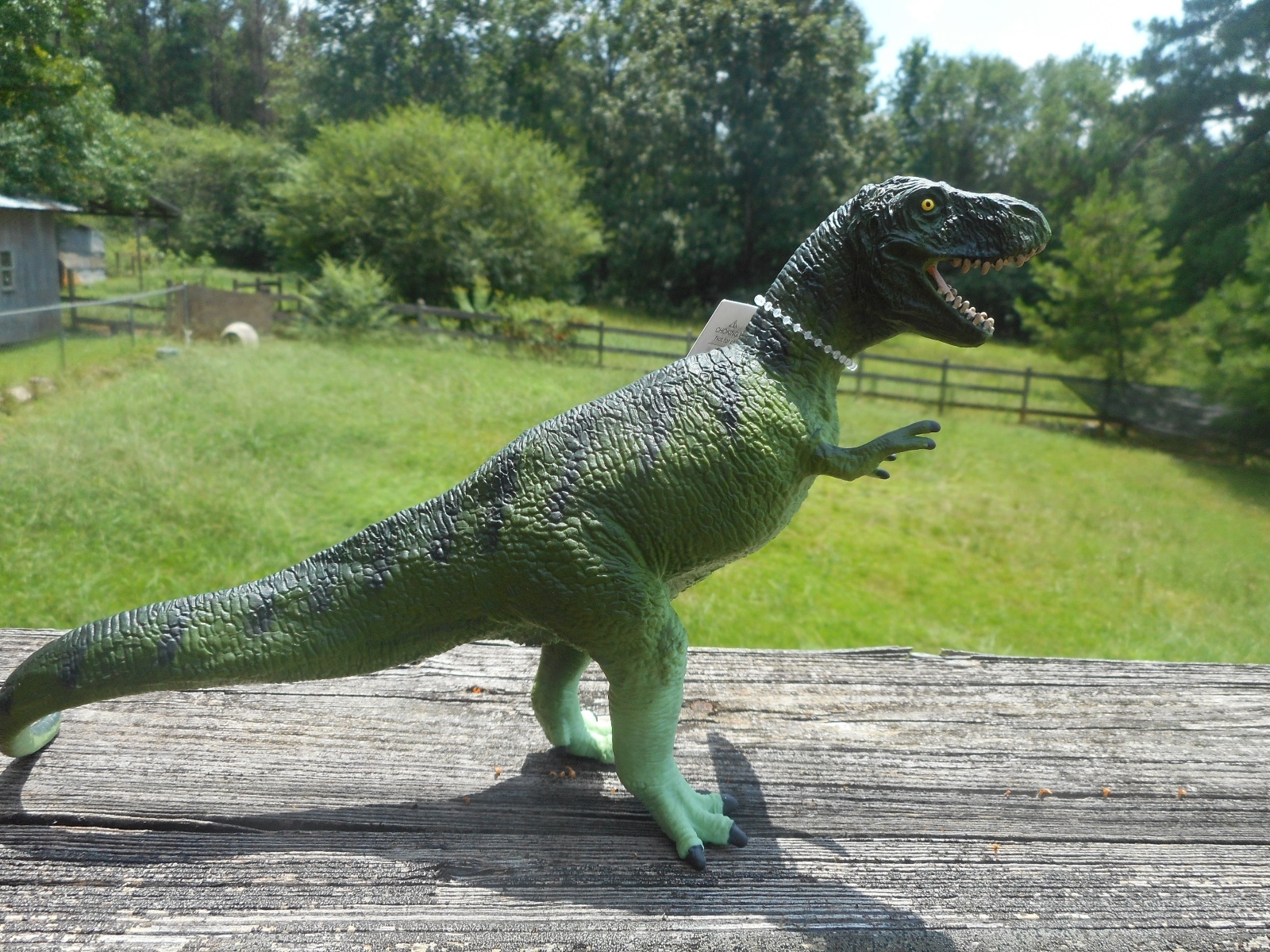 TYRANNOSAURUS REX dinosaur; toy/replica/Carnegie/TREX/RETIRED/400101 | eBay