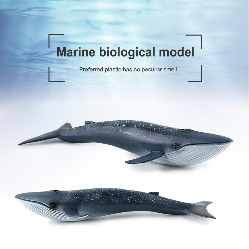 Big Size Sea Animal Toy Soft Rubber Whale Ornament for Boys Girls ...