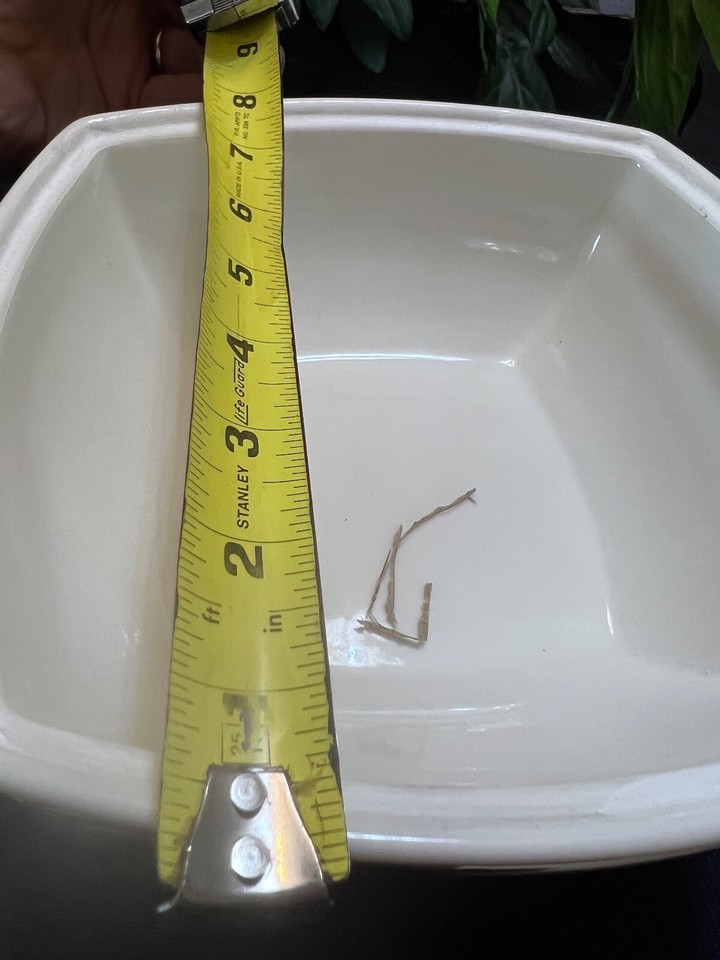 White Porcelain Buffet Server in Warmer Base | eBay