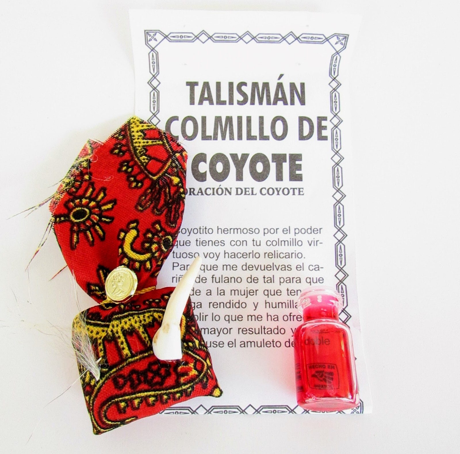 Colmillo de Coyote Amuleto de Suerte y Proteccion / Coyote Tooth Amulet ...