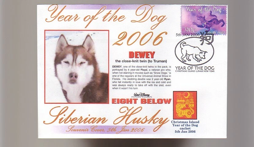 Dewey From Eight Below