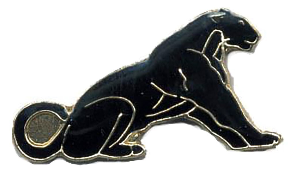 Pack of 50 Sitting Black Panther Bike Motorcycle Hat Cap Lapel Pin ...