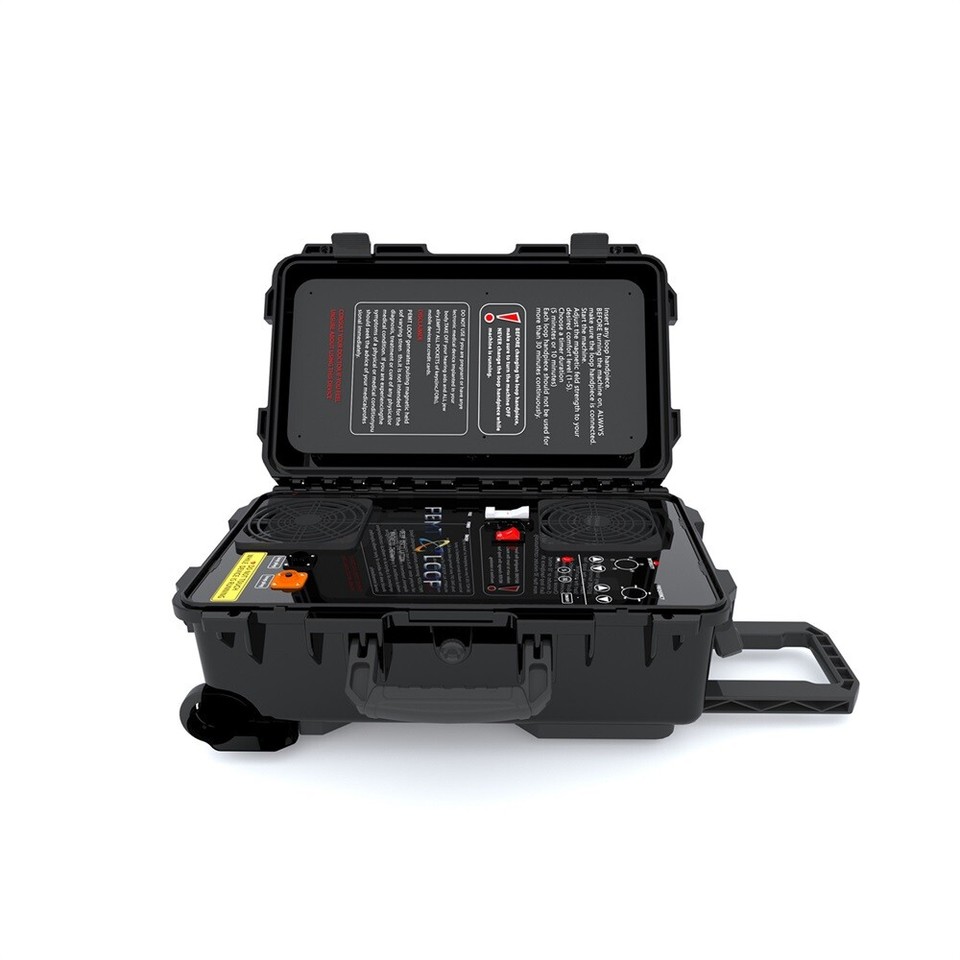 PEMF Pulse Electromagnetic Therapy PMST Machine Magnetic Physio Therapy ...