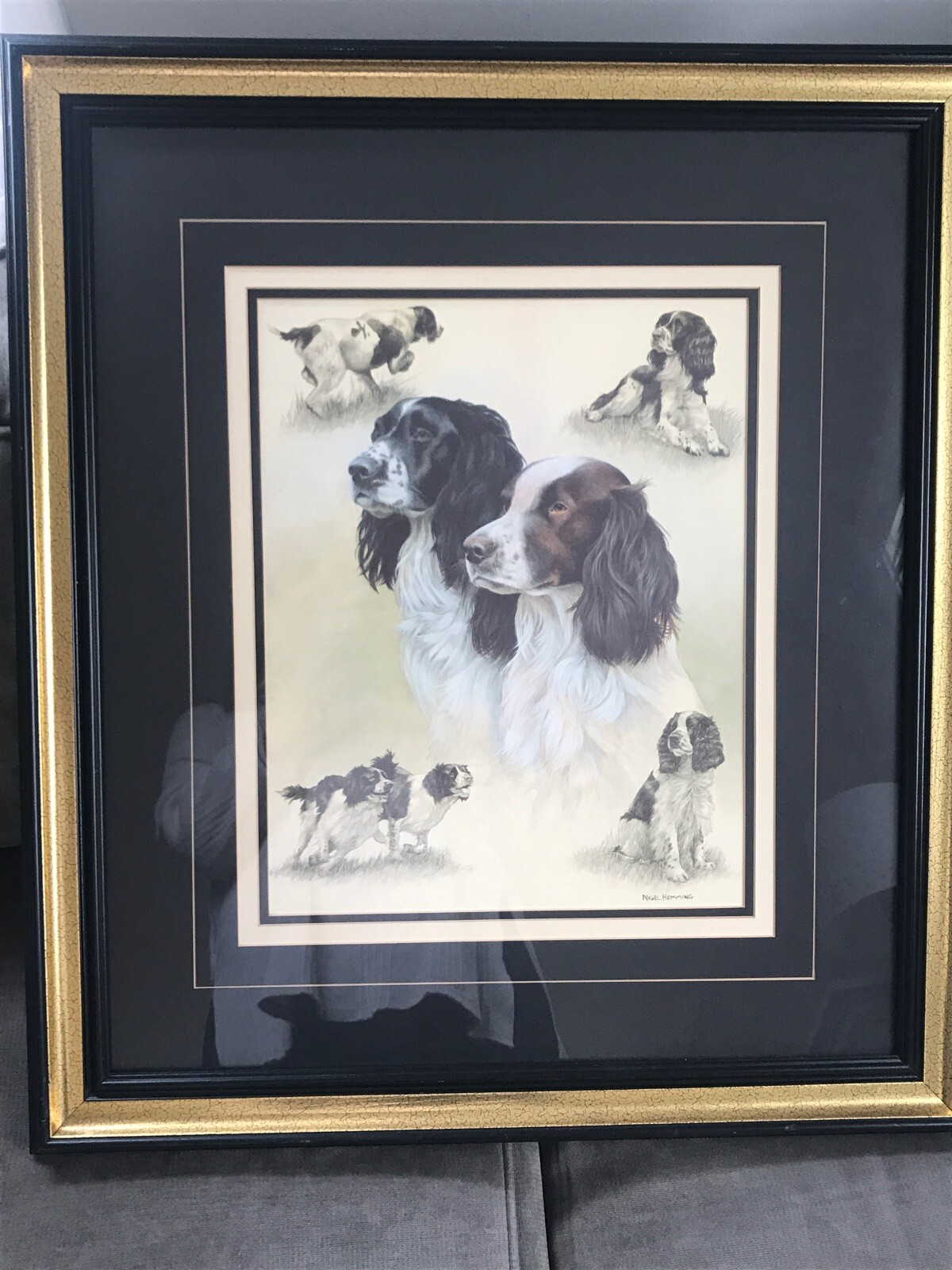 Nigel HEMMING English Springer Spaniel Working hunting Gun Dog , framed ...