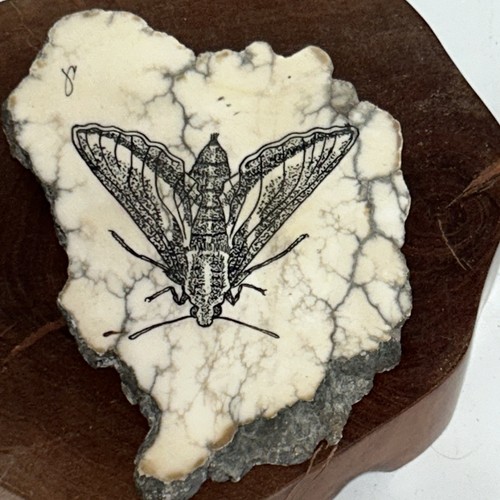 Artist Signed Moth Art On Stone | eBay