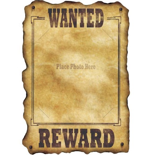 Western Wanted Reward Poster Sign with Photo Slot 17" x 12" Paper Favor ...